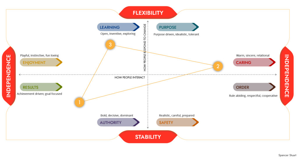 More About Aligning Culture and Strategy - ABAMI