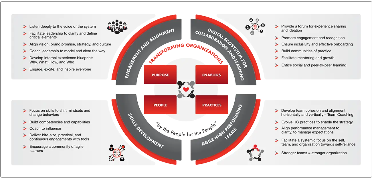 Organizational Transformation - ABAMI