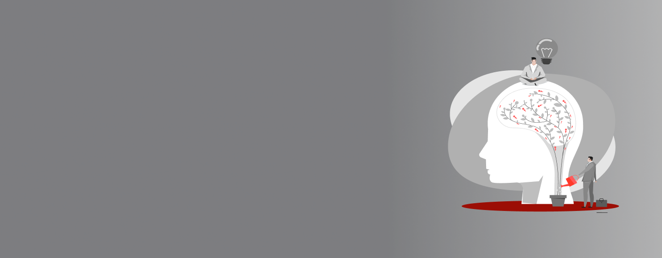 ABAMI Insights - ABAMI