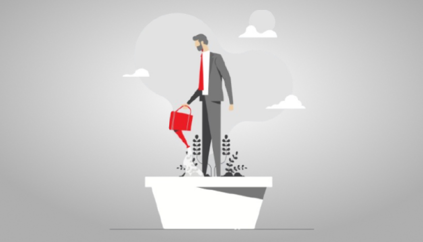 ABAMI Insights - ABAMI