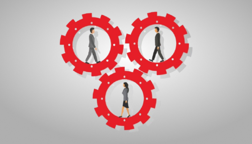 ABAMI Insights - ABAMI