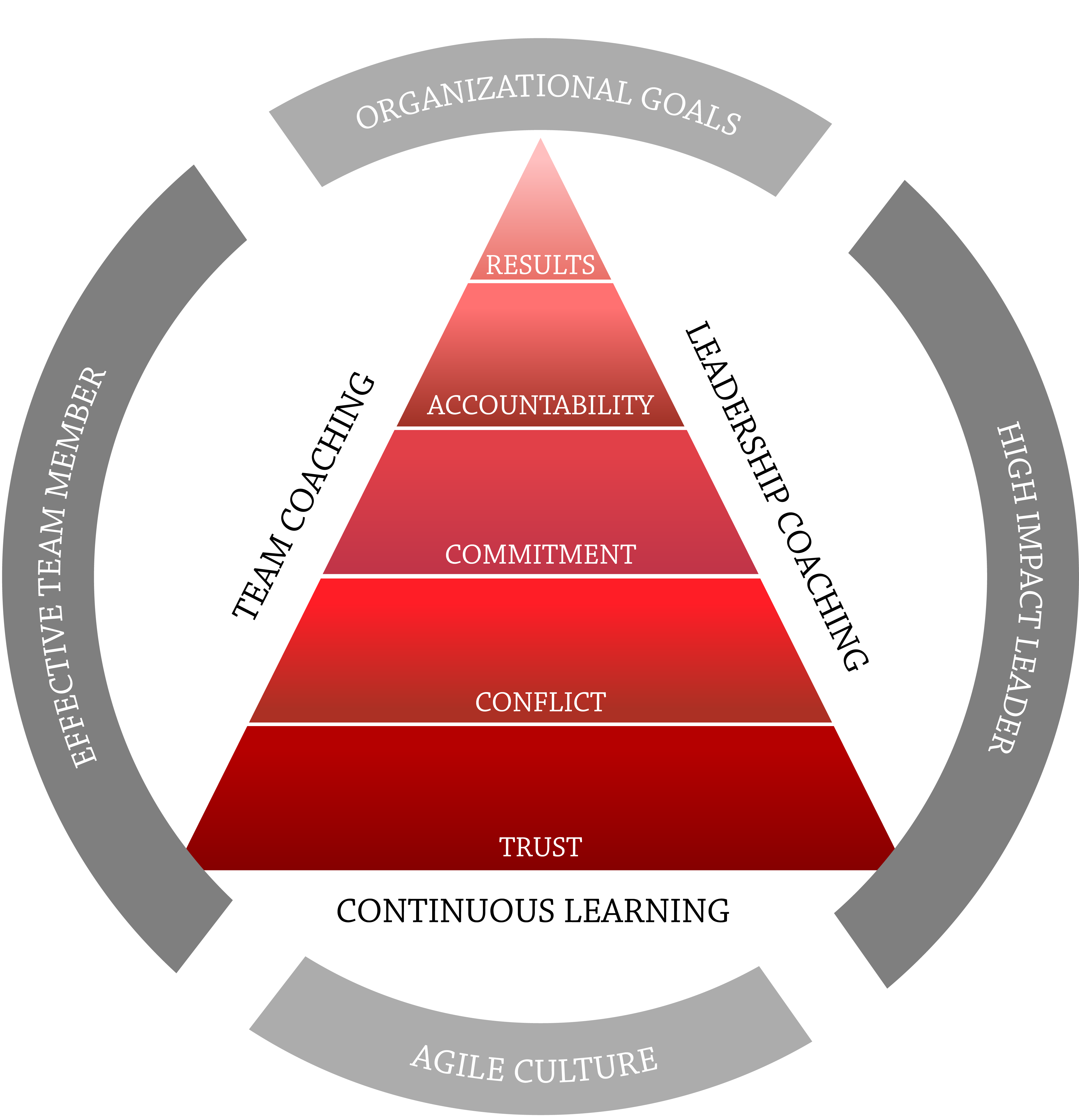 Building an Agile High-Performing Team: Strategies for Cohesion, Trust ...